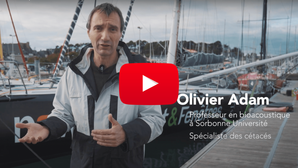 Vendée Globe : tout faire pour éviter les collisions avec les baleines ...